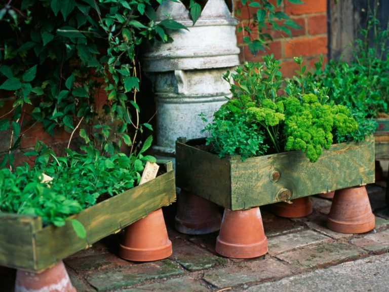 13 Unusual and Upcycled Container Gardens